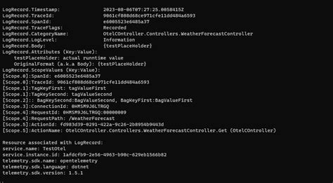 Activity Tracking Option For Logger Factory Works Differently For Tags And Baggage · Issue