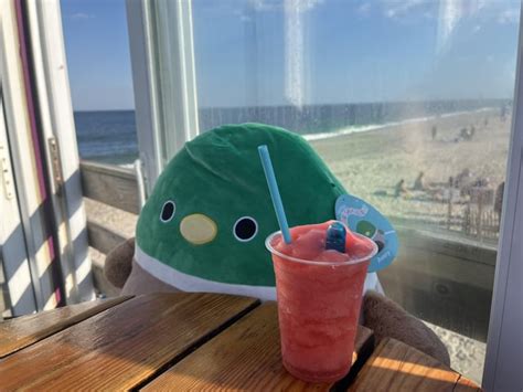 Avery Is Having A Hot Duck Summer 🤪 R Squishmallow