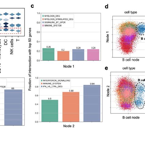 Expimap Detailed Architecture For The Pbmc Ifn β Deleted Genes Recovery