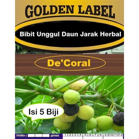 Jual Bibit Unggul Daun Jarak Herbal Biji Benih Tanaman Daun Jarak Herbal Shopee Indonesia