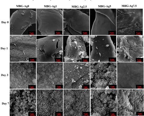 Figure 5 From Modified Sol Gel Synthesis Of Mesoporous Borate Bioactive Glasses For Potential