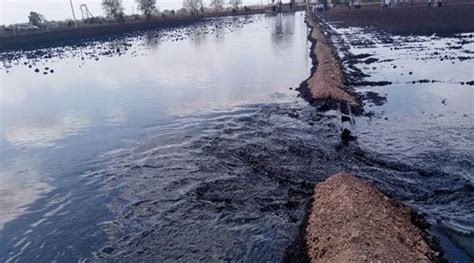 Ioc Pipeline Ruptured Near Jamnagar Oil Spreads On Agricultural Land