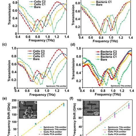 The Transmission Thz Spectra Of Discrete Mm Biosensor With Biological Download Scientific