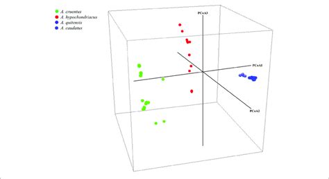 Principal Coordinate Analysis For Three Grain Amaranth Species Download Scientific Diagram