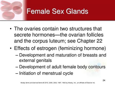 Chapter The Endocrine System Ppt Download