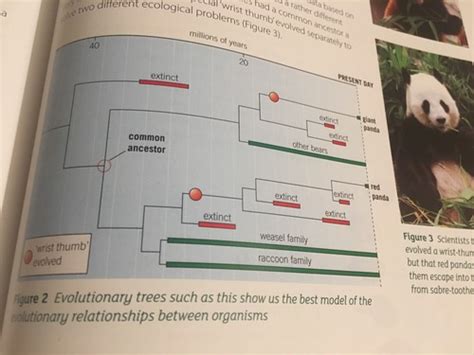 Biology Classification Flashcards Quizlet