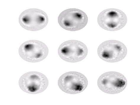 Reconstruction Results For Full Nonlinear Data With 1 Random Noise Download Scientific Diagram