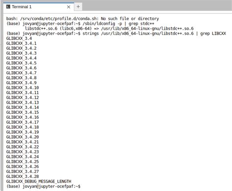 Unable To Load Shared Object Optcondalibrlibrarysflibssfso