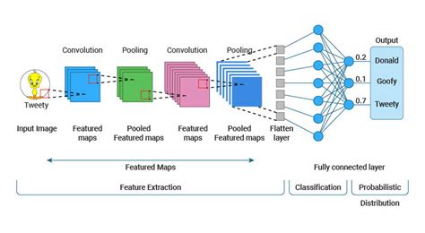 Cnn Vs Gan Key Differences And Benefits