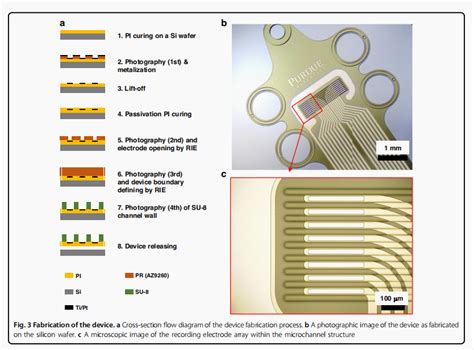 Nature子刊 用于选择性记录迷走神经的柔性薄膜微通道电极阵列 腾讯云开发者社区 腾讯云