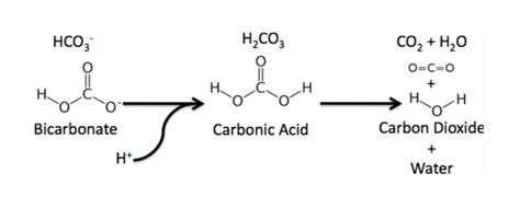 To Bicarb Or Not To Bicarb — Nyp Emergency Medicine Residency