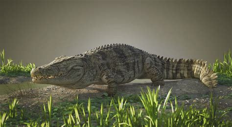 Artstation Wild And Angry Crocodile