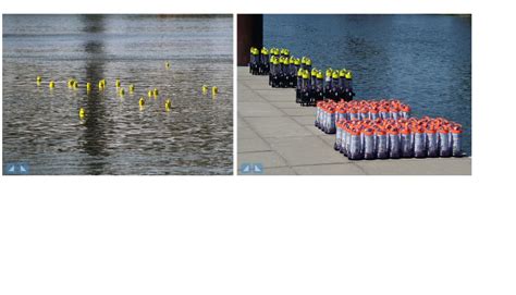 y our water floating sensor network will this help preserving ganges