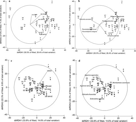 Distance Based Redundancy Analysis Dbrda Relating Significant Abiotic