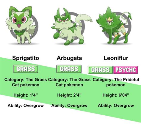 Sprigatito Evolution Predictions By Thejonmachine On Deviantart
