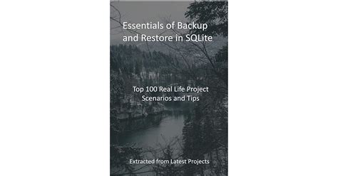 Essentials Of Backup And Restore In Sqlite Top 100 Real Life Project