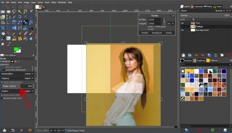 How To Resize A Layer In GIMP Davies Media Design