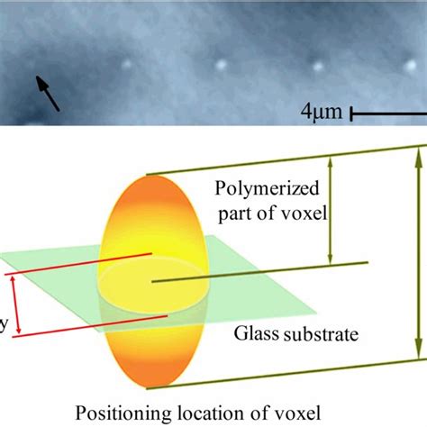 Achievement Of Sub Diffraction Limit Voxel A Sem Image Of Voxels Download Scientific Diagram