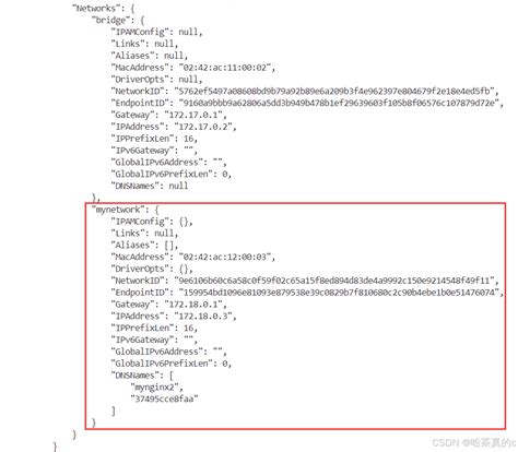 【docker】13 docker network 网络 docker networks csdn博客