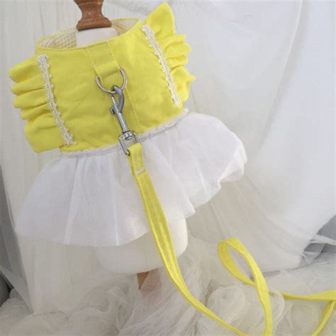 Badu Bg Принцеса Куче Жилетка Пола с Лия Сладка яка Кучешка рокля Дрехи за малки кучета Домашно