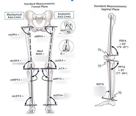 Radiographic Angles Diagram Quizlet