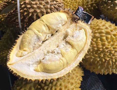 김명섭 교수의 커피이야기 시즌Ⅱ 18 베트남 커피와 두리안