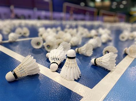 Badminton Scotland Linkedin