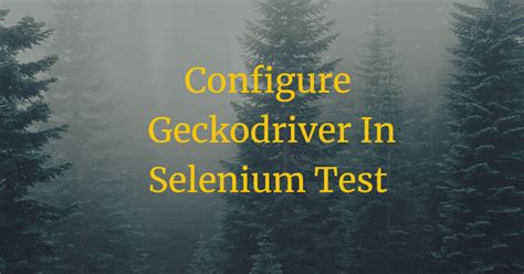 Selenium Tutorial The Path To The Driver Executable Must Be Set By