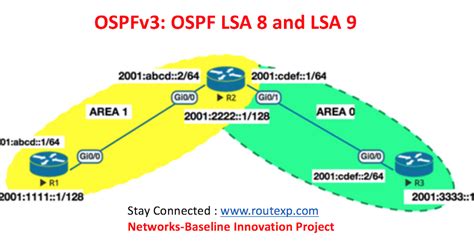 Ospf Link Lsa Lsa Type 8 And Intra Area Prefix Lsa Type 9 Route Xp