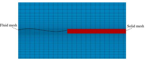 Mesh Layout Of The Model The Fluid Mesh Is Graded Towards The Free Download Scientific Diagram