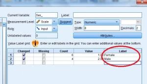 How To Enter Data Into SPSS And Define Variables Statistics How To
