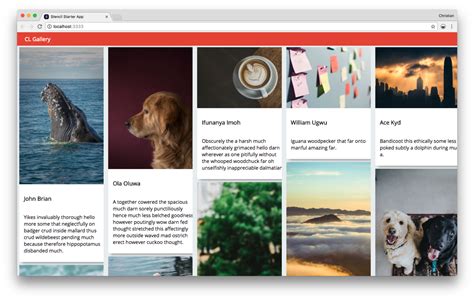 Cloudinary Image Gallery With Stencil Custom Components