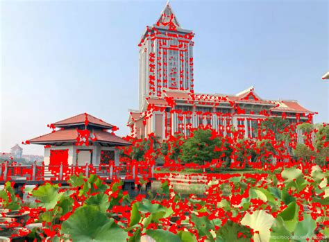 Python计算机视觉编程第二章——局部图像描述子局部自相似描述子 Python Csdn博客