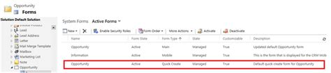 A Faster Way To Create Records In Microsoft Dynamics CRM RSM Technology
