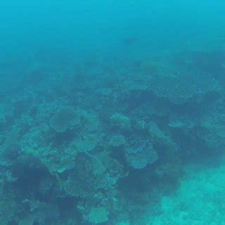 PDF Achieving Turbidity Robustness On Underwater Images Local Feature Detection