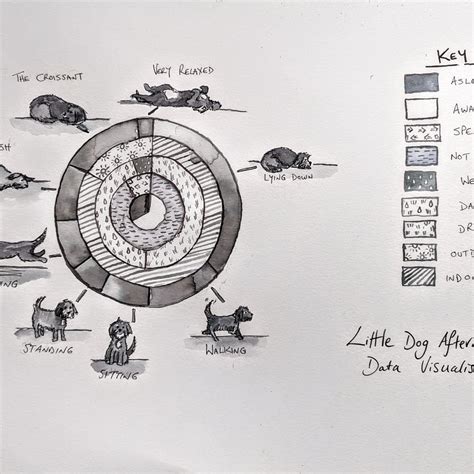 My Project For Course Analog Data Visualization For Storytelling Domestika