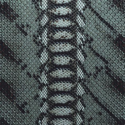 Premium Photo Close View Pattern Python Snakeskin
