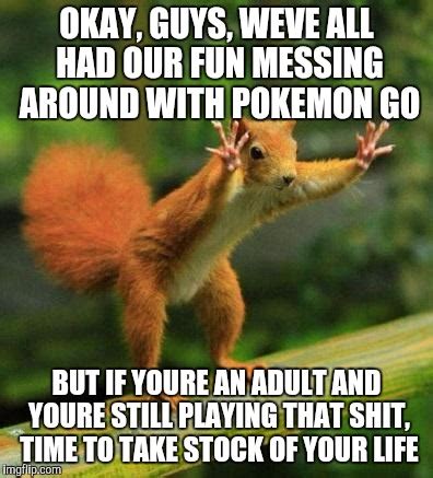 Funny Sqirrel Memes Imgflip