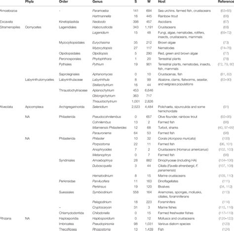 Diversity Of Potential Protist Pathogens Detected In The Environment