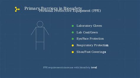 Biosafety Levels Explained A Simple Guide Biology Notes Online