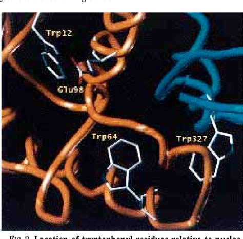 Rna Splicing Via Transesterification Reactions With Bulged Adenosine As Nucleophile Semantic