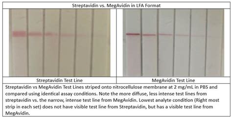 Bioassay Partners Llc On Linkedin Enhancing Lateral Flow Assays With High Sensitivity Megavidin