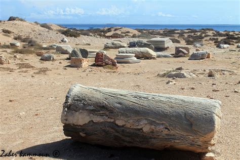 Zaher Kammoun Le Site Archéologique De Meninx