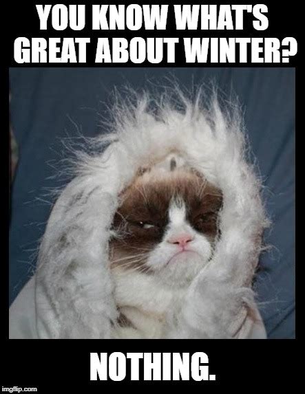 Grumpy Cat Let It Snow