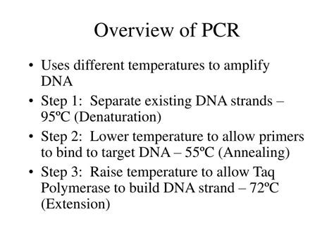 Ppt Genetics Techniques Rflp And Pcr Powerpoint Presentation Free Download Id6723764