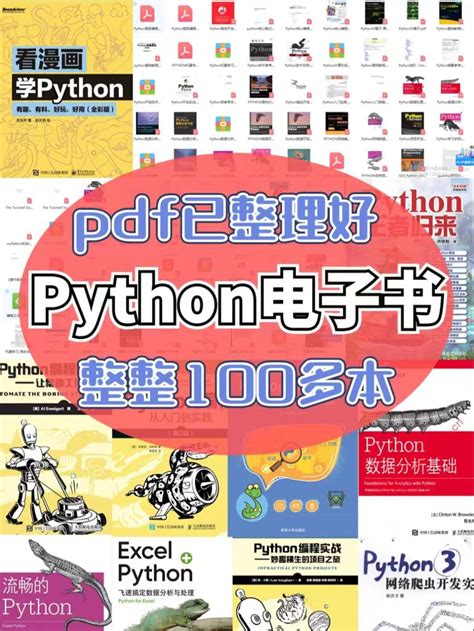 最新最全python零基础入门资料资料视频训练学习源码项目） 哔哩哔哩