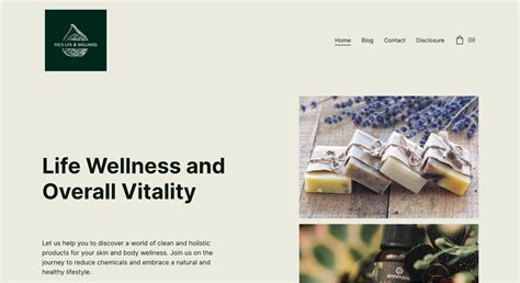 Top 16 Wellness Website Examples For 2025