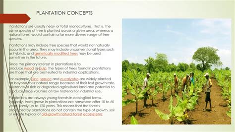 Geography 12th Grade L Primary Activity Plantation Agriculture