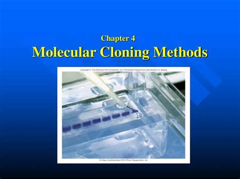 Ppt Chapter 4 Molecular Cloning Methods Powerpoint Presentation Free Download Id 478885