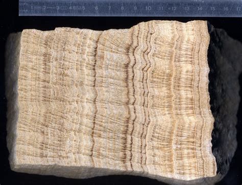 Sedimentary Structures Quiz Flashcards Quizlet